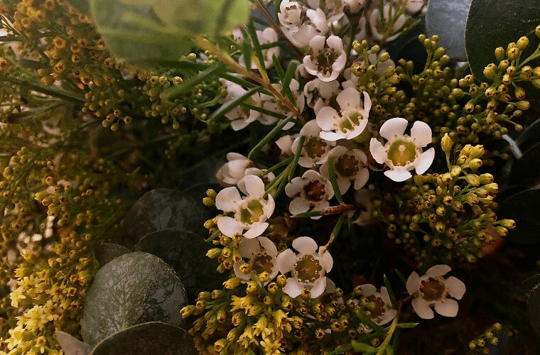 REVEALED: The British Royal Family's Favourite Flowers